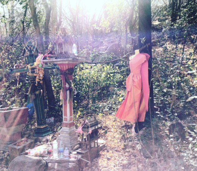 Why do Thai Tree Spirits like Red Fanta ? – Stories from the Wood Wide Web