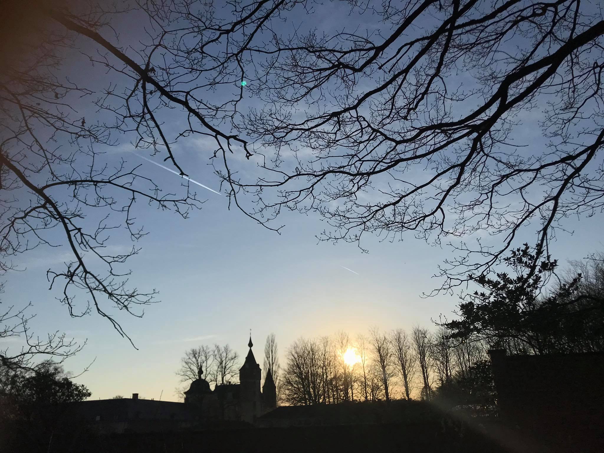 Becoming the Frog – retelling my woodwide story of the past 6 months ...