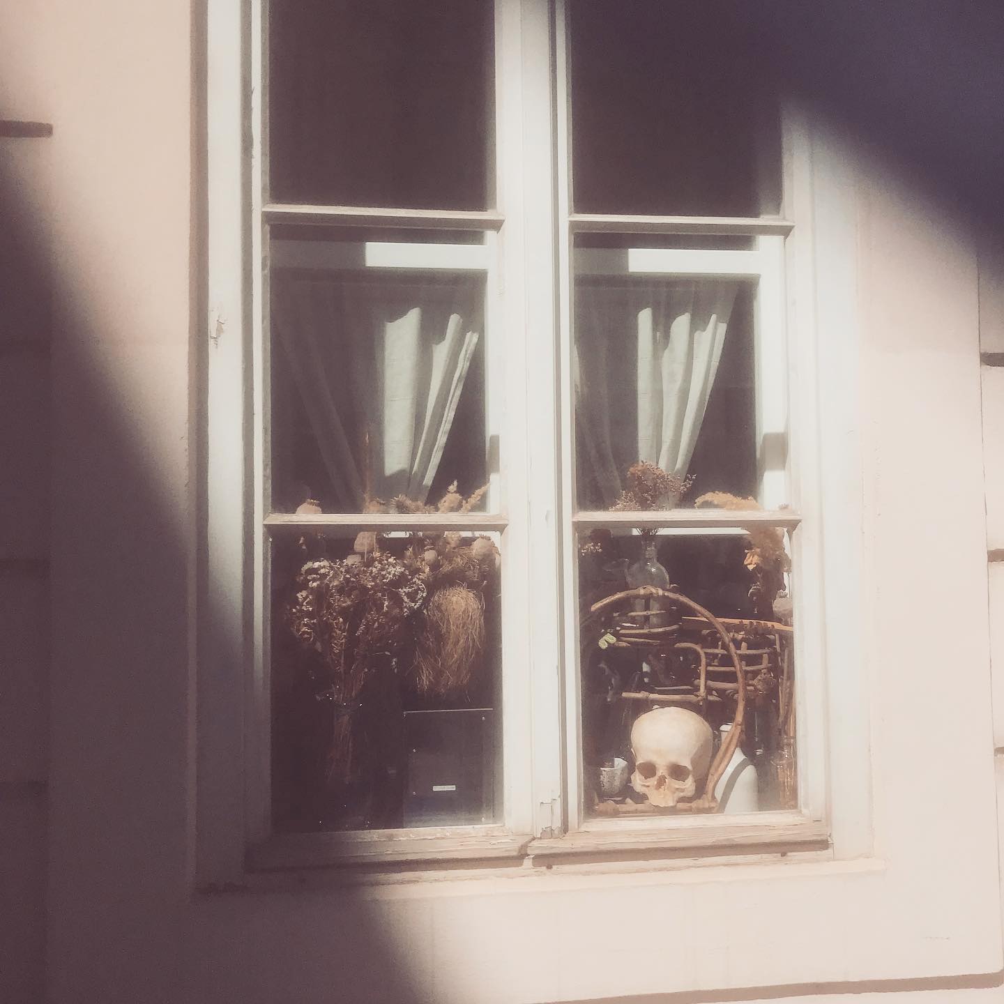 Rewilding the Czech legend of Libuše’s vision and Wild Sarka – Stories ...