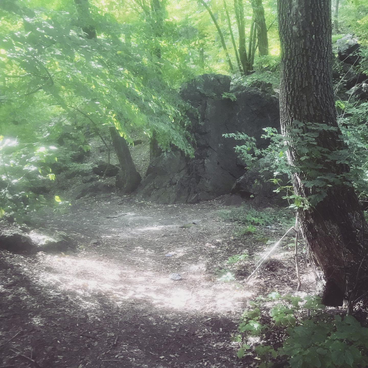 Rewilding the Czech legend of Libuše’s vision and Wild Sarka – Stories ...