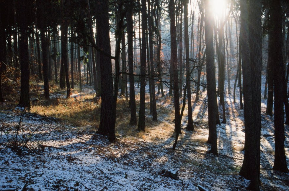 Changing the stories we live by #7: Czech Month Names Reflecting Nature ...