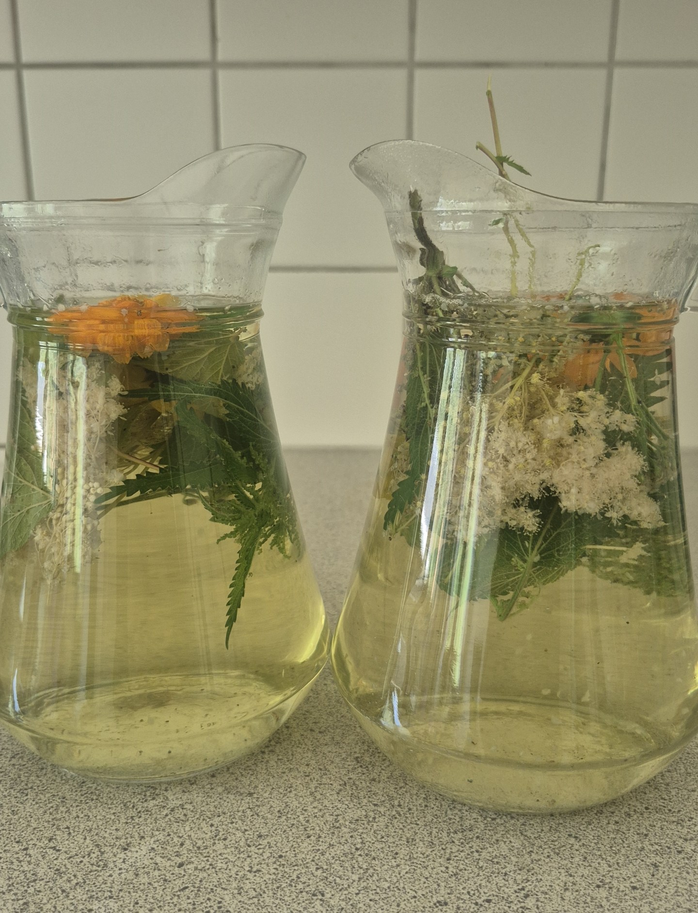 Micro Rituals to Connect to Place and Time Through the Senses – Stories ...
